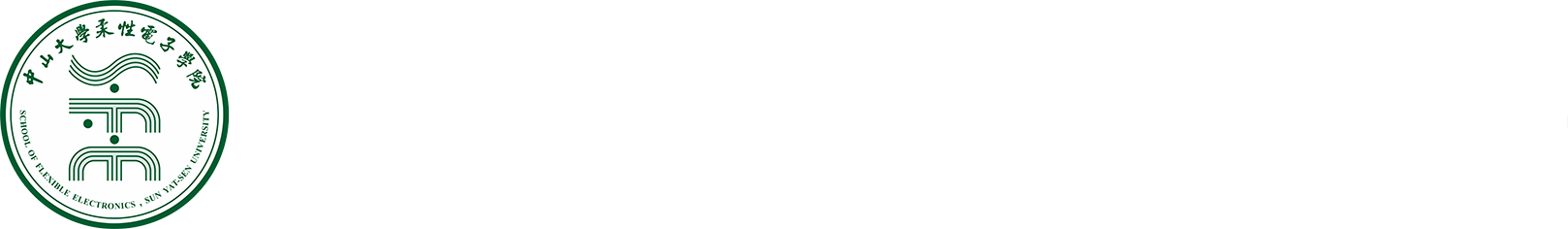 陈高洁 | 中山大学柔性电子学院